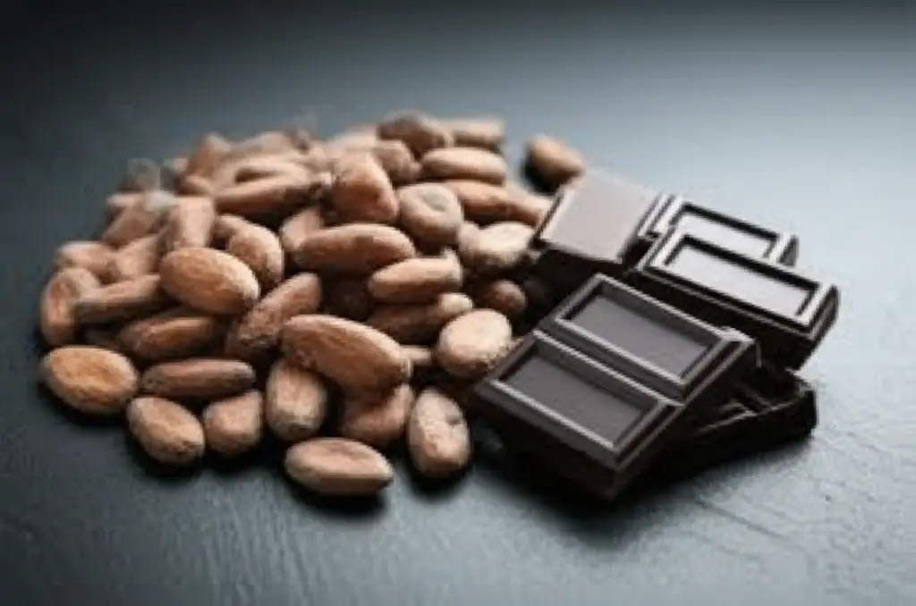 Raw Cacao vs Processed Chocolate: 6 Longevity Secrets Revealed 🍫 (2025 ...